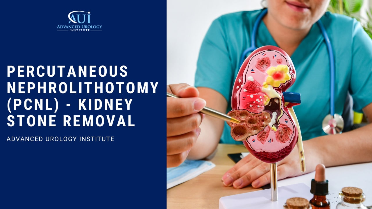 Percutaneous Nephrolithotomy PCNL Kidney Stone Removal Advanced